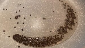 How To Use Mustard Seeds In Cooking? Check Out These 10 Methods[With ...